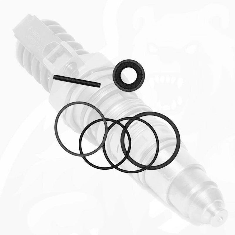 Seal Kit for Cummins® ISX® / QSX® Diesel Fuel Injector *w/Seal & Sprin